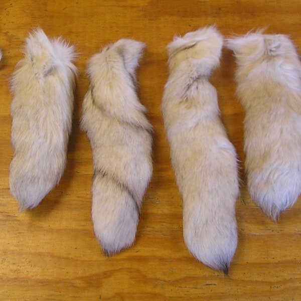 Real Fox Tails - Etsy