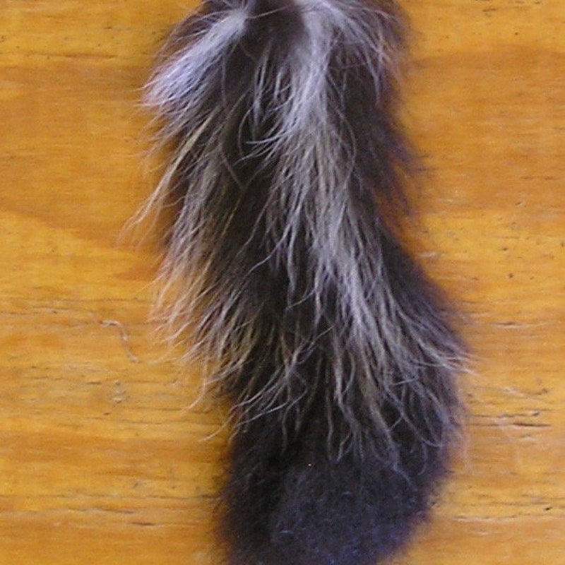 Skunk Tail - Etsy