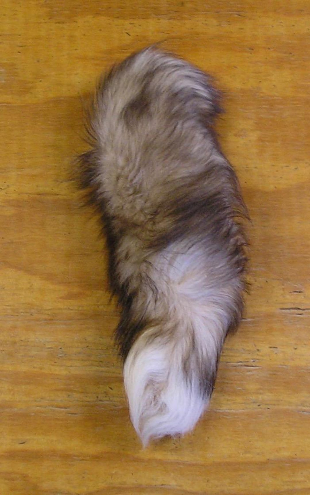 Crystal Fox Tail - Etsy