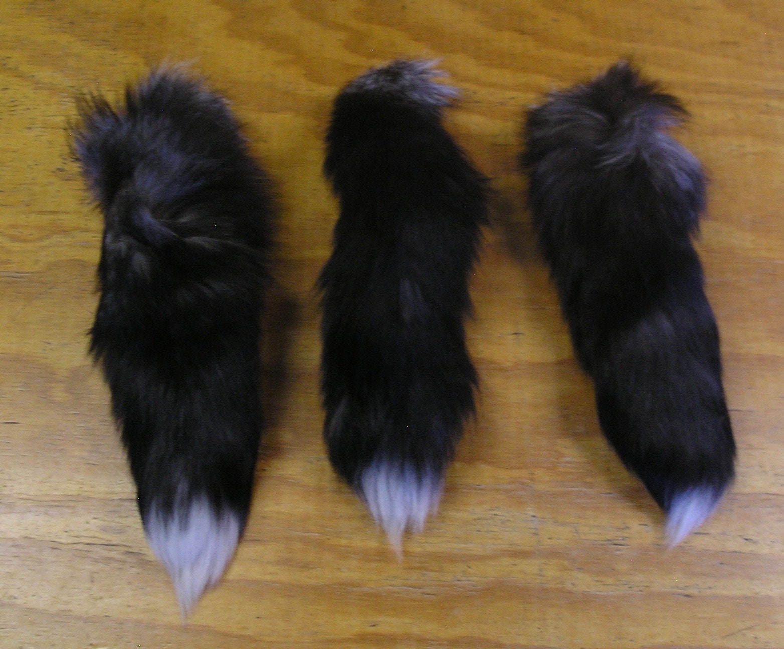 3 Huge Silver Fox Tails for Native American Ceremonies - Etsy