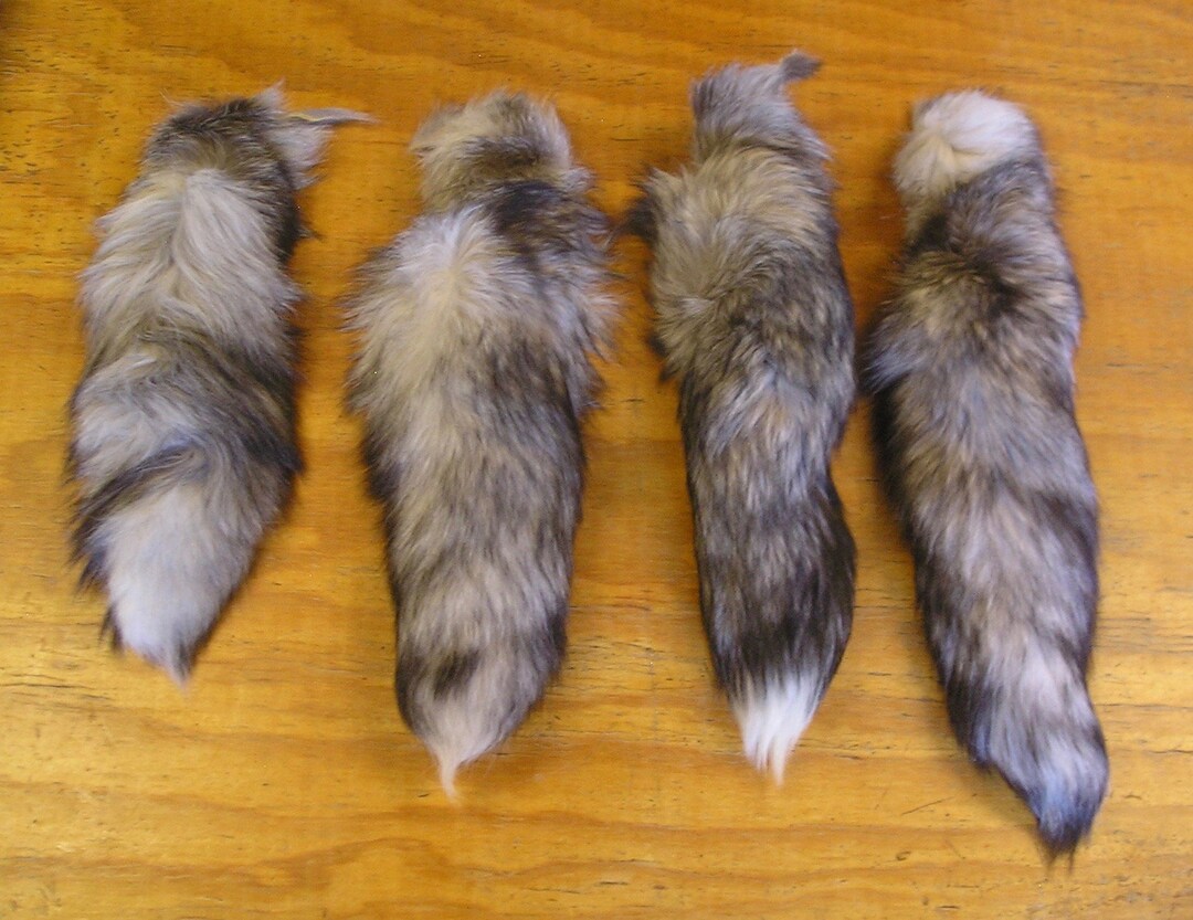 4 Huge Indigo Fox Tails - Etsy