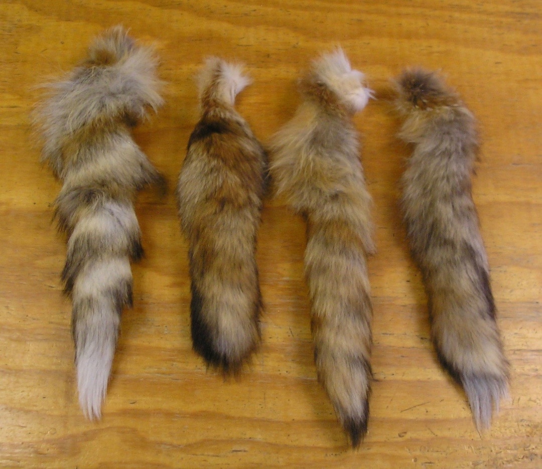 4 Red Fox Tails for Native American Ceremonies - Etsy