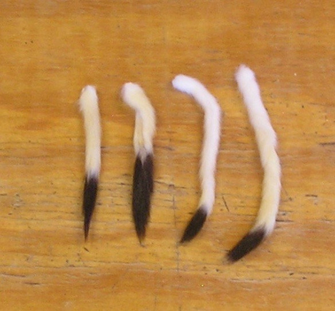 4 Ermine Tails - Etsy