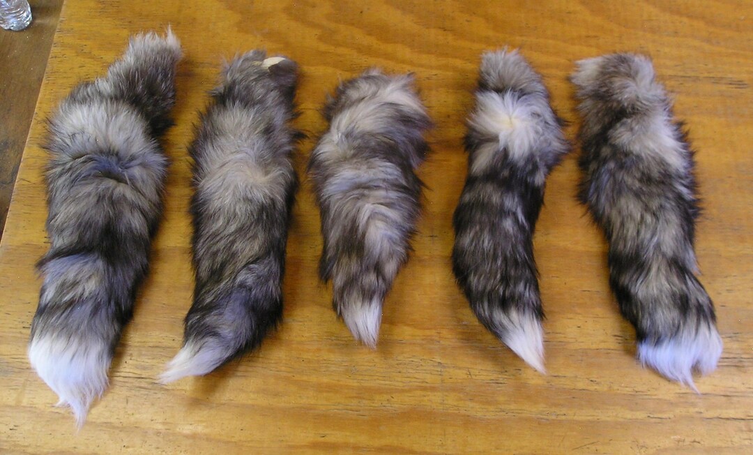 5 Huge Indigo Fox Tails - Etsy