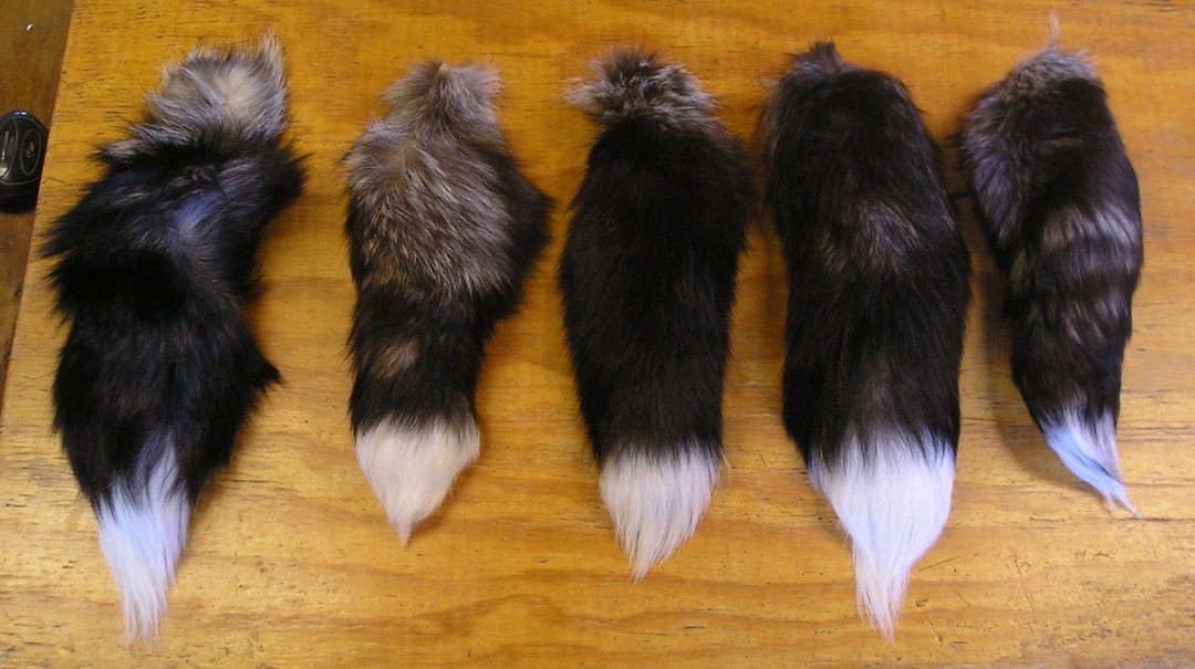 5 Silver Fox Tails for Native American Ceremonies - Etsy