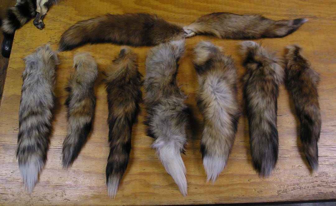 9 Red Fox Tails - Etsy