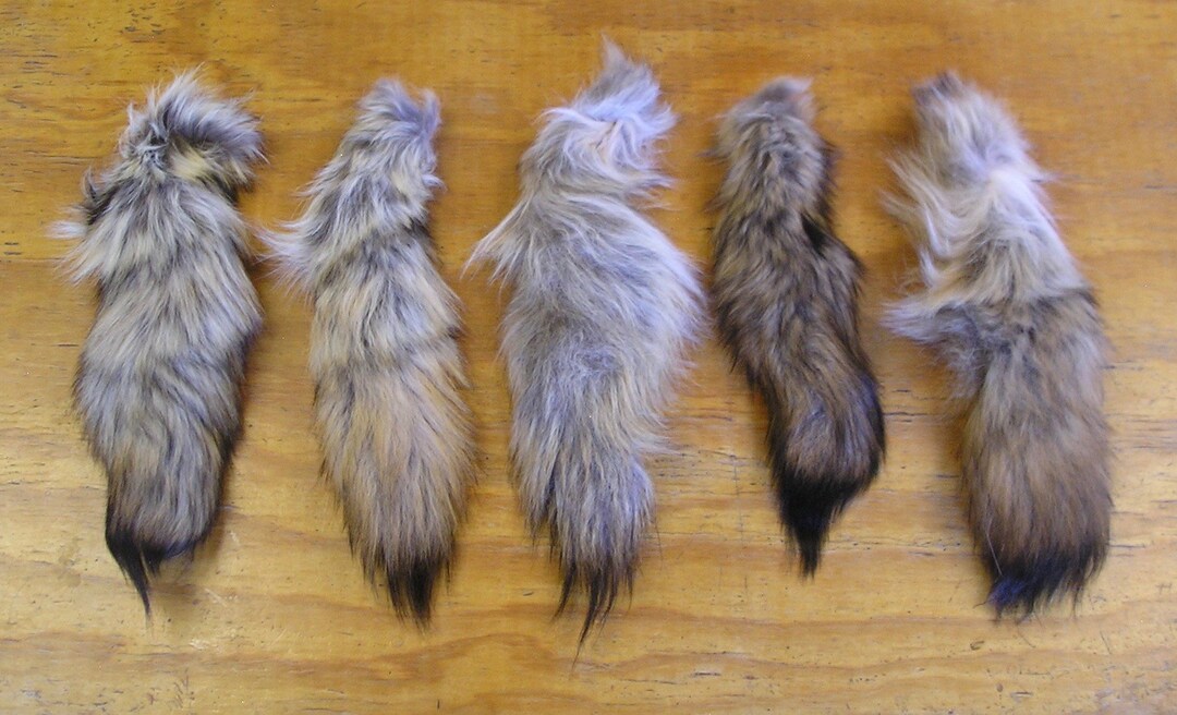 5 Coyote Tails - Etsy