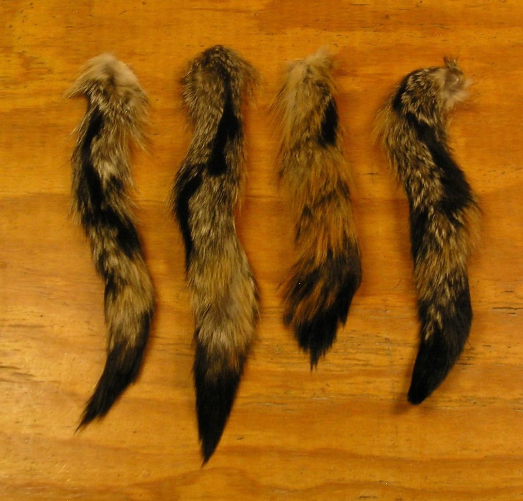 4 Grey Fox Tails - Etsy