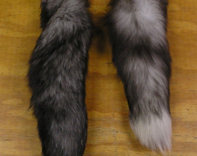 2 Huge Indigo Fox Tails for Native American Ceremonies - Etsy