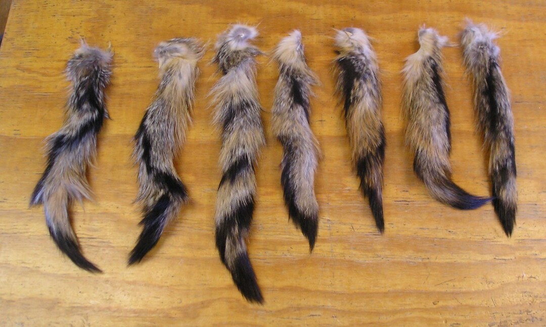 7 Grey Fox Tails - Etsy