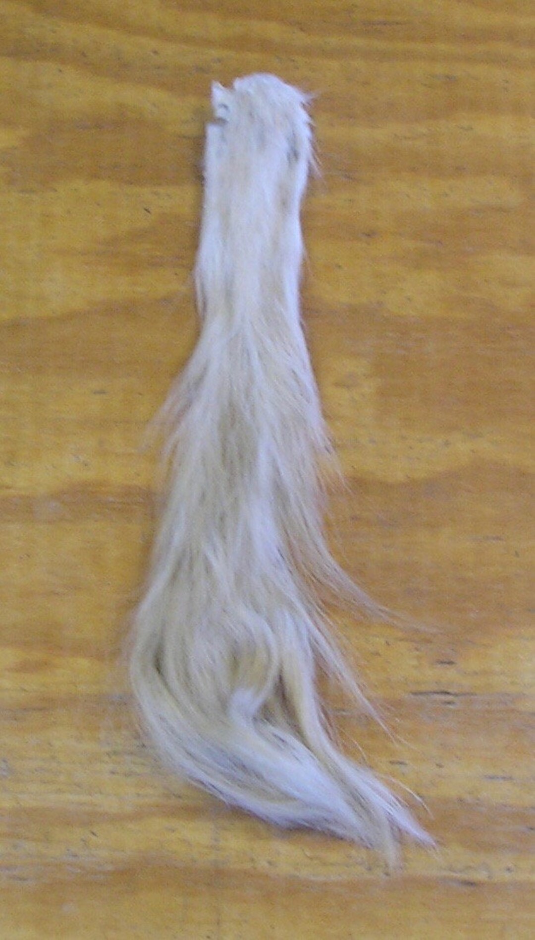 White Cow Tail - Etsy