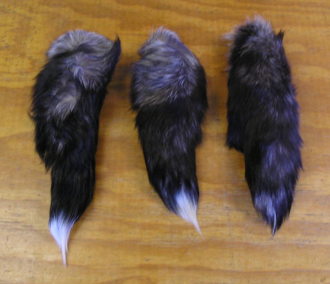 3 Silver Fox Tails - Etsy