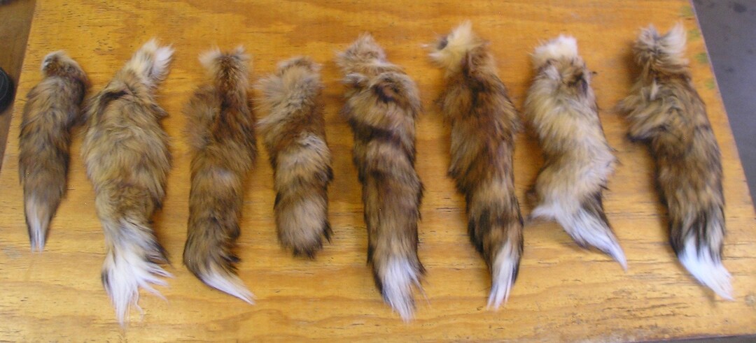 8 Red Fox Tails - Etsy