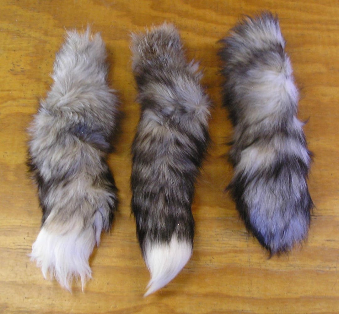 3 Huge Indigo Fox Tails - Etsy