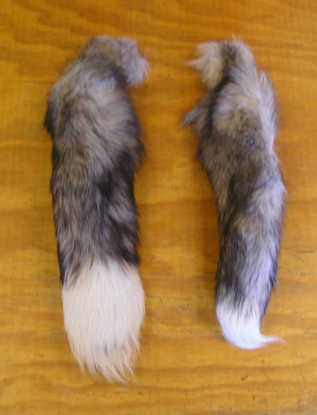 2 Huge Indigo Fox Tails - Etsy