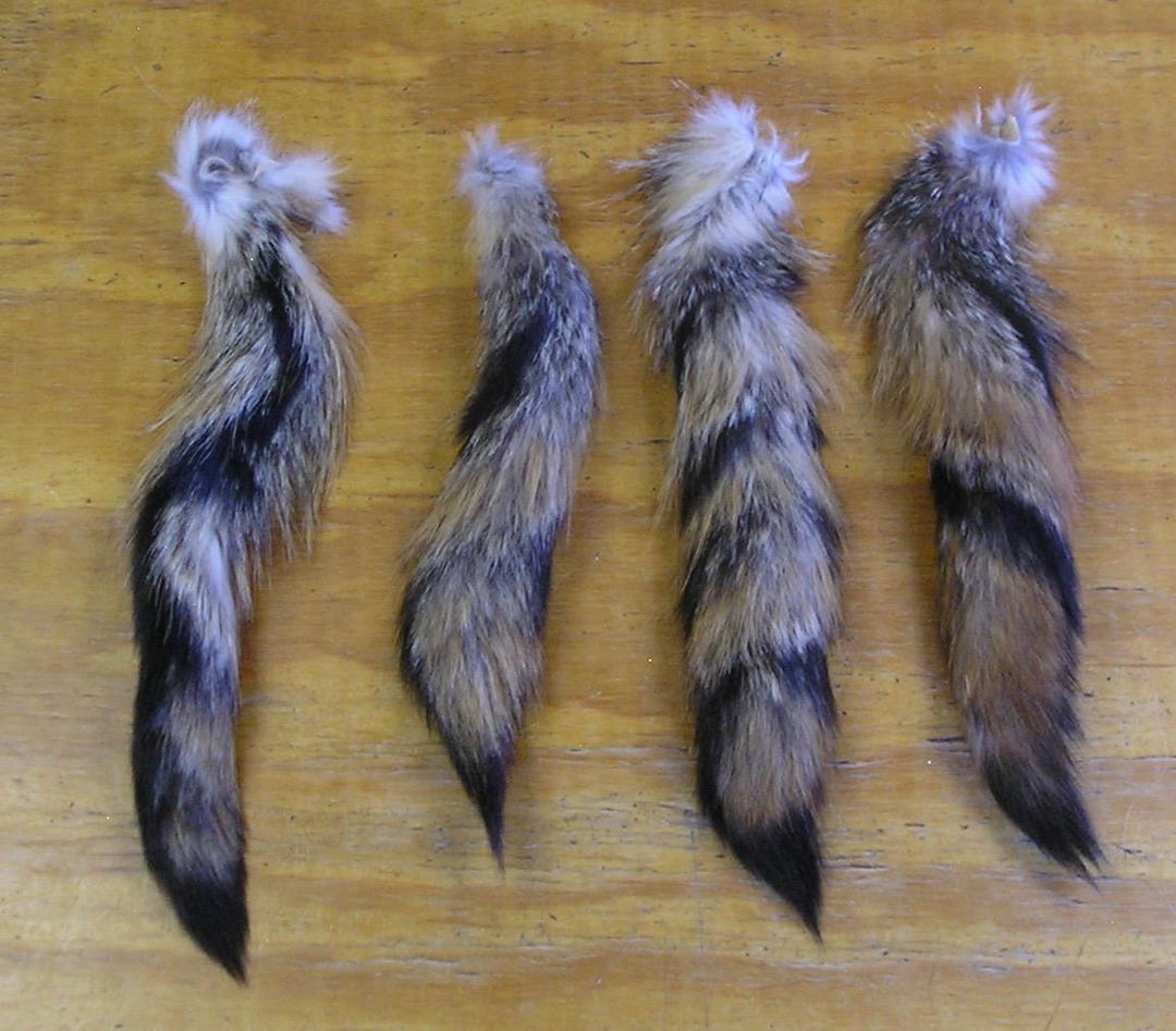 4 Grey Fox Tails - Etsy