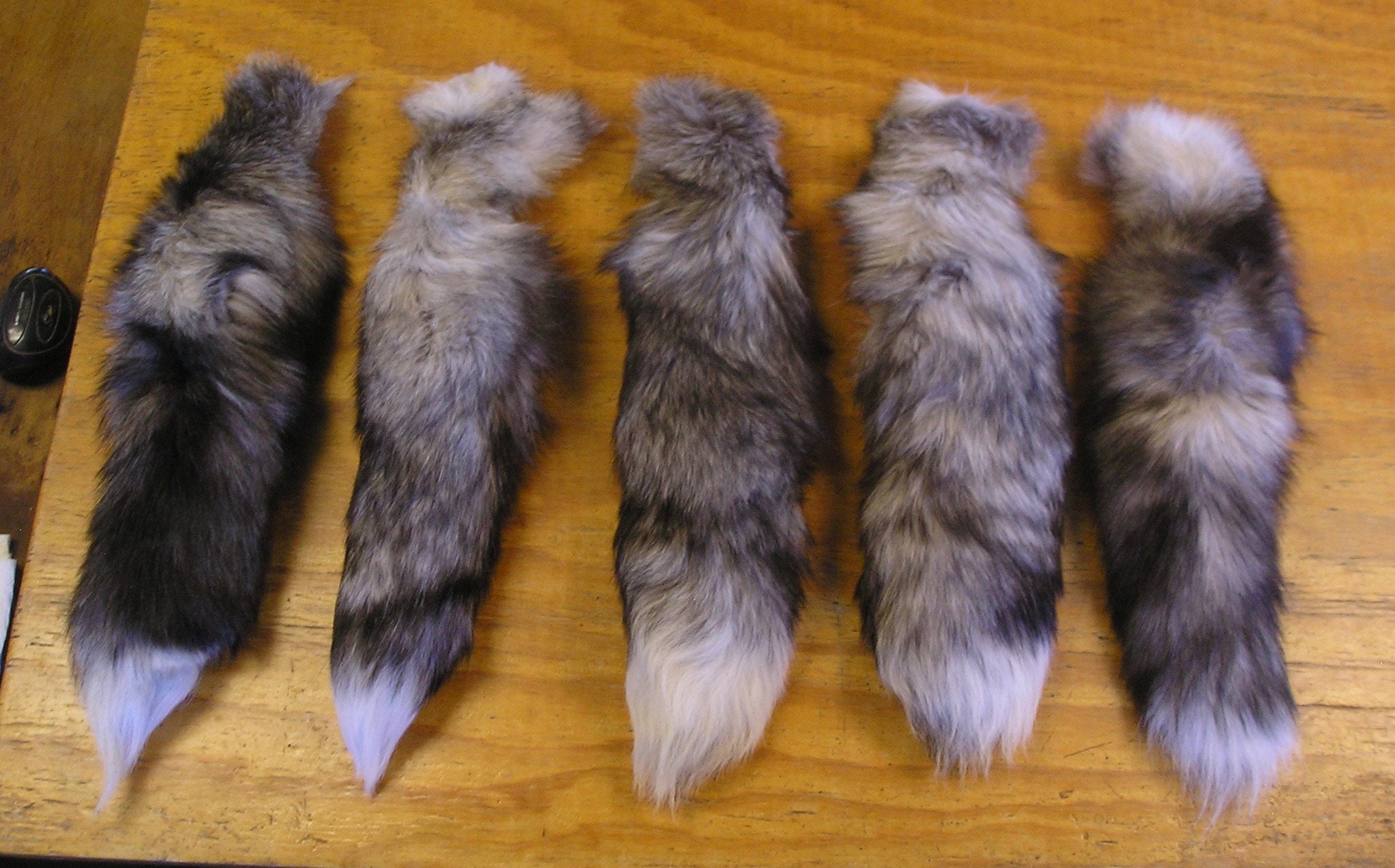 5 Huge Indigo Fox Tails for Native American Ceremonies - Etsy