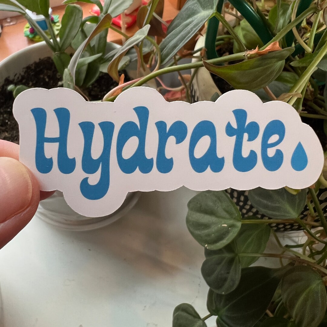 Hydrate Die Cut Matte Sticker | Typography Self Care Mental Health ...