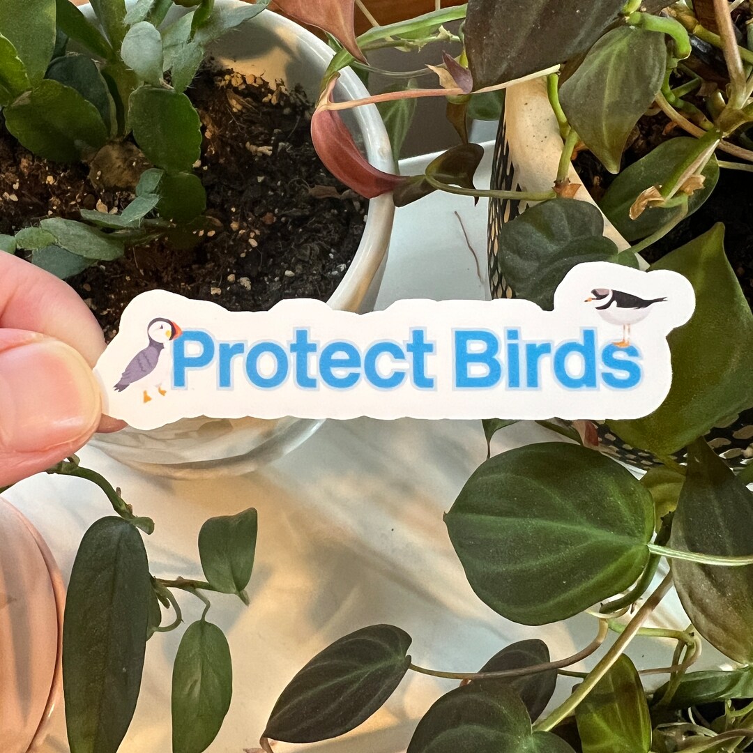 Protect Birds Die Cut Matte Sticker Puffin Piping Plover Birdwatching ...