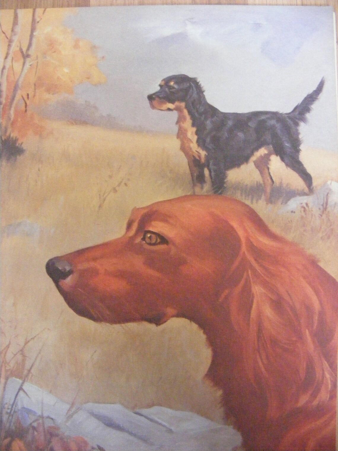 Dog Art Irish Setter Gordon Setter Vintage Lithograph Print - Etsy
