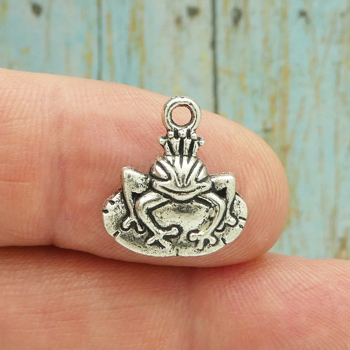 10 Silver Frog Prince Charm by TIJC SP0308 - Etsy