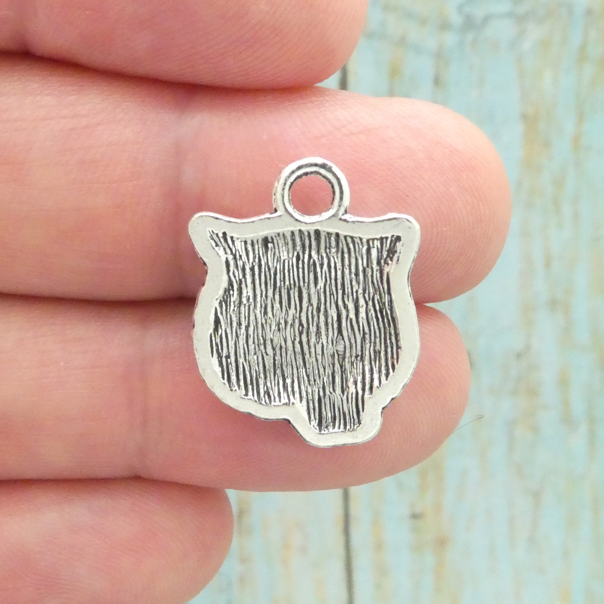 5 Head of a Silver Tiger Charm Pendant for Necklace or Bracelet 23x17mm ...