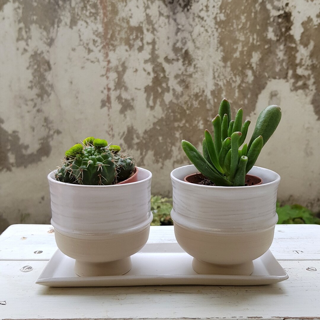 Mini Cactus Pots, Planter, Flower Pot, Suculent Pot, Handmade From ...