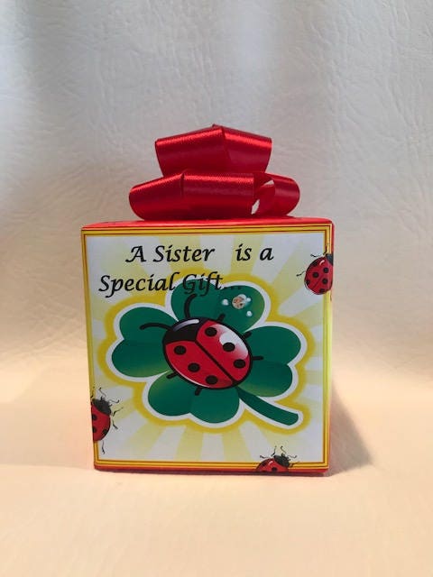 Ladybug Music Box - Etsy
