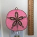 Sand Dollar Night Light - Etsy