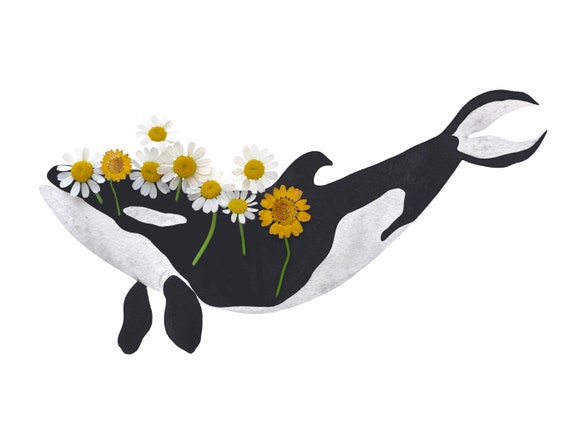 Orca in Bloom Watercolor Flower Art Wall Decor | Etsy