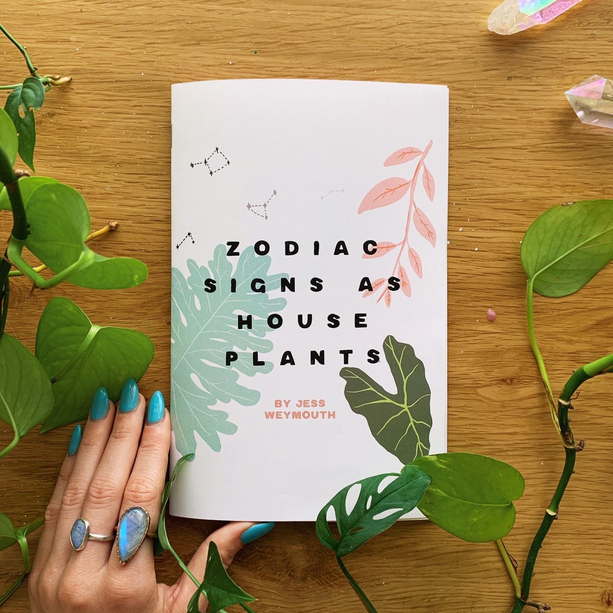 Zodiac Signs as Houseplants Zine Astrology Plant Lady | Etsy