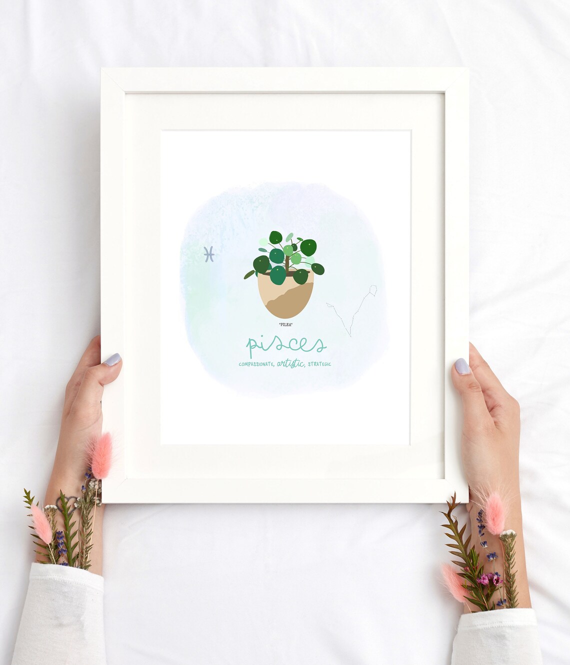 Pisces - Zodiac Signs as Houseplants | Astrology | Plant Lady ...