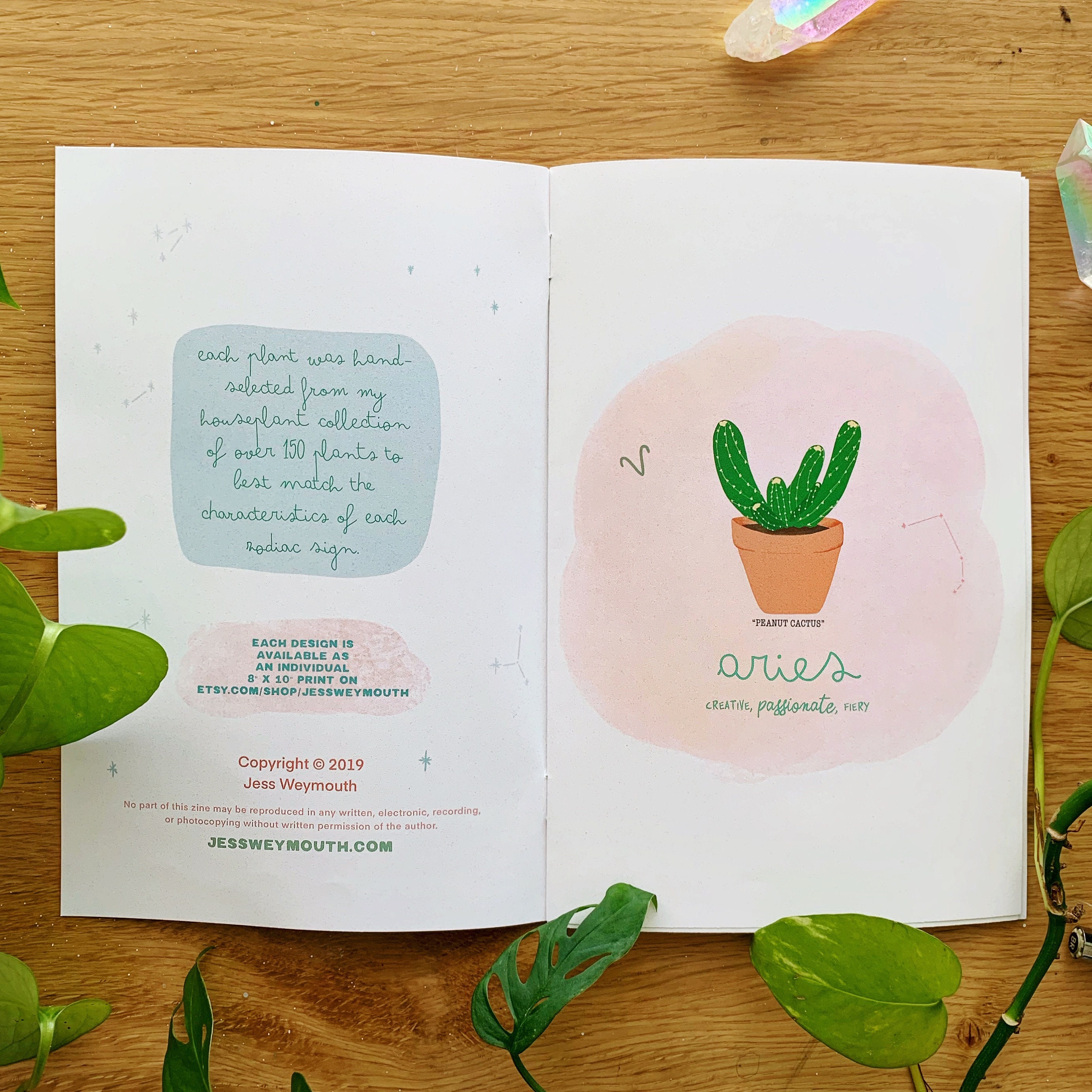 Taurus Zodiac Signs as Houseplants Astrology Plant Lady - Etsy