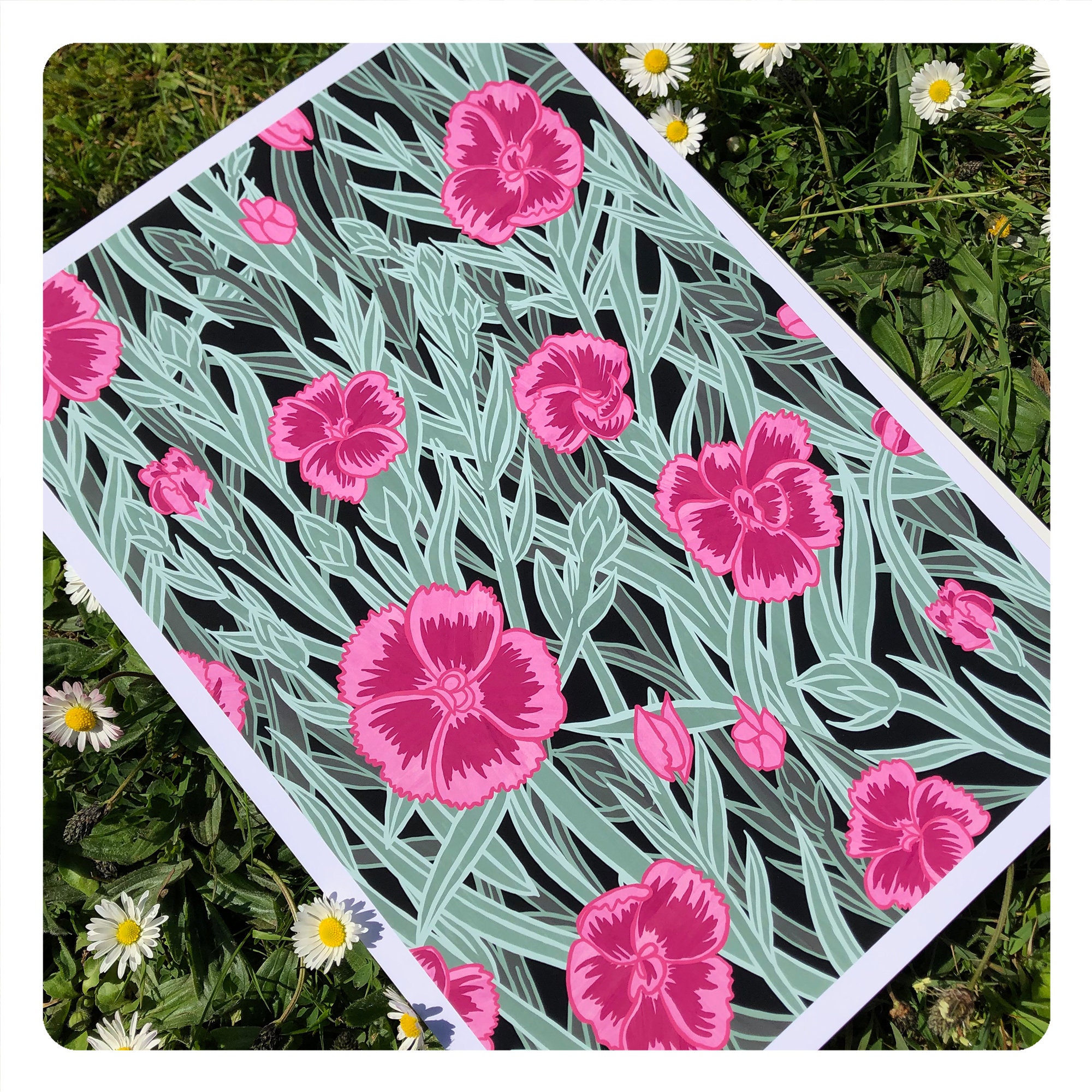 Dianthus Art Print // Illustrated Botanical Wall Art / Illustration ...
