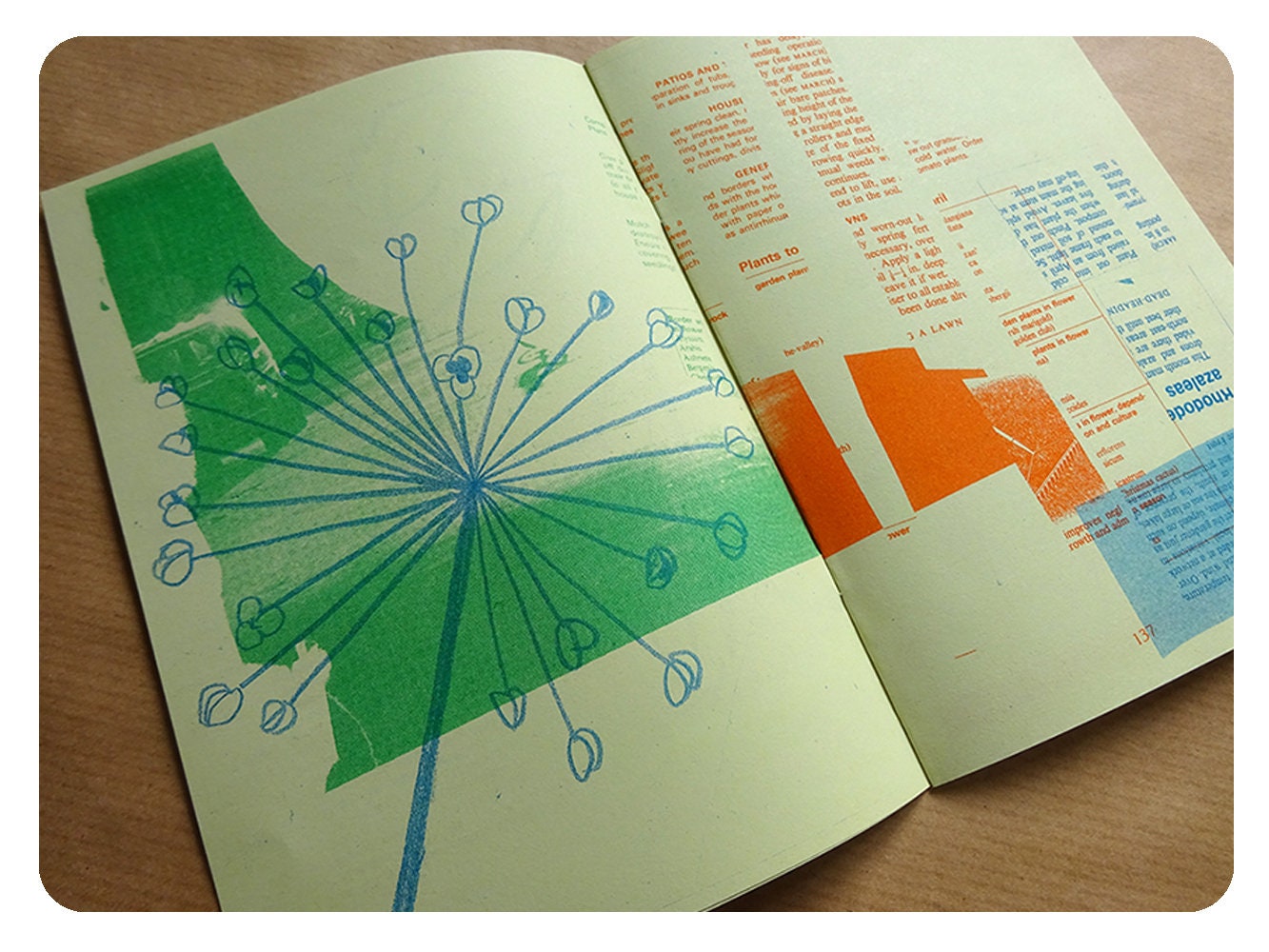 Riso Print Artists Book / Zine // Plants and Flower Drawings ...