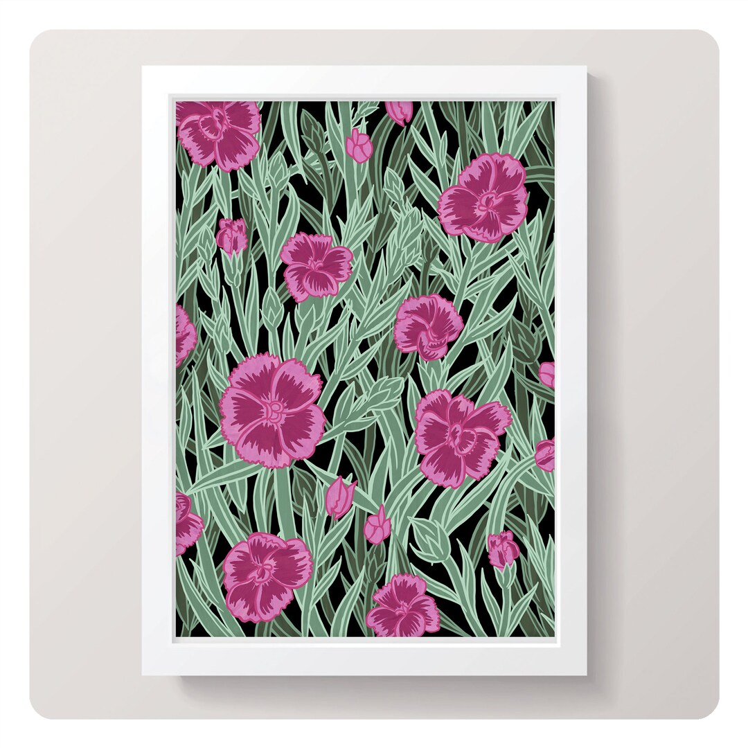 Dianthus Art Print // Illustrated Botanical Wall Art / Illustration ...