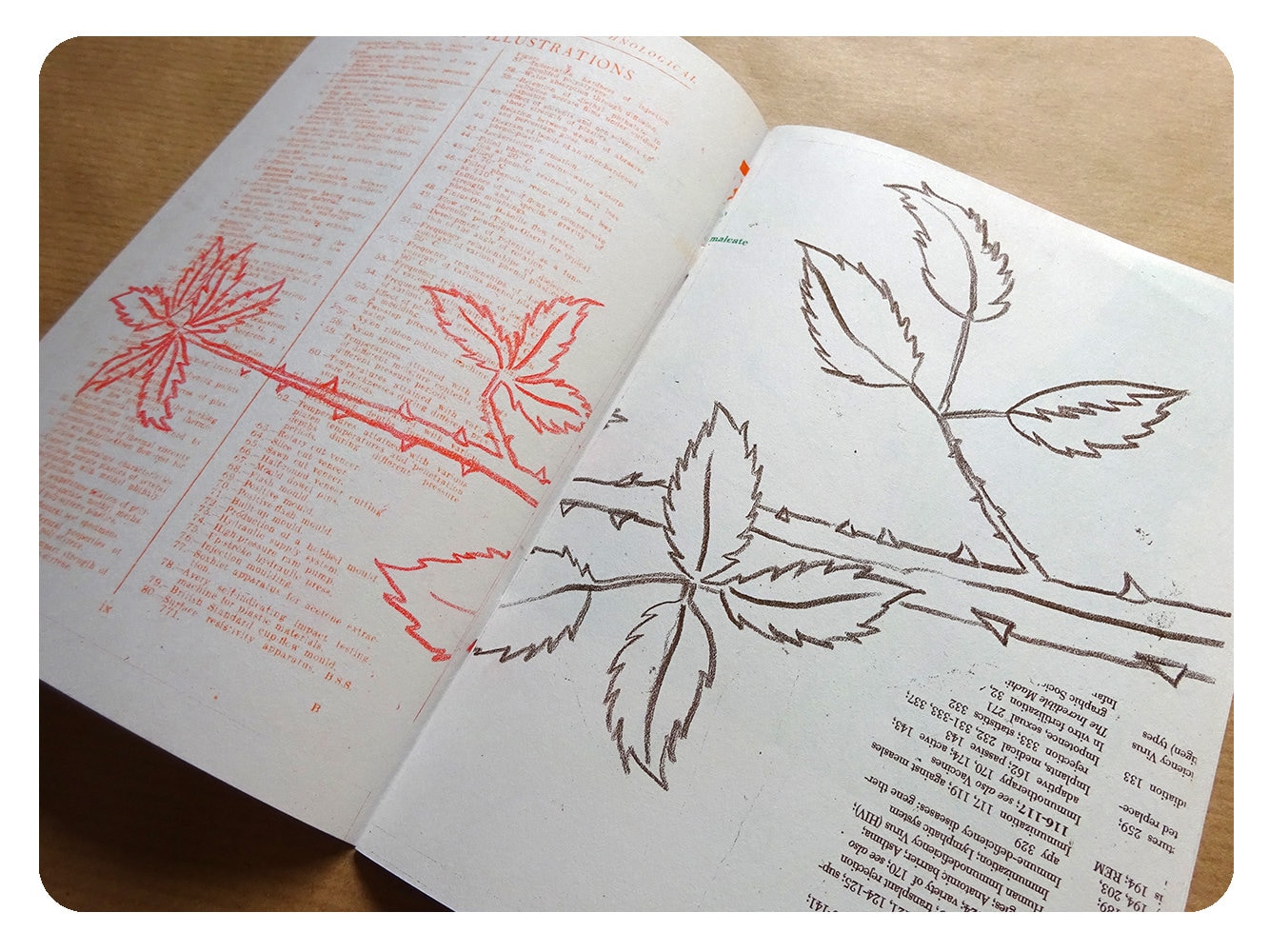 Riso Print Artists Book / Zine // Plants and Flower Drawings ...