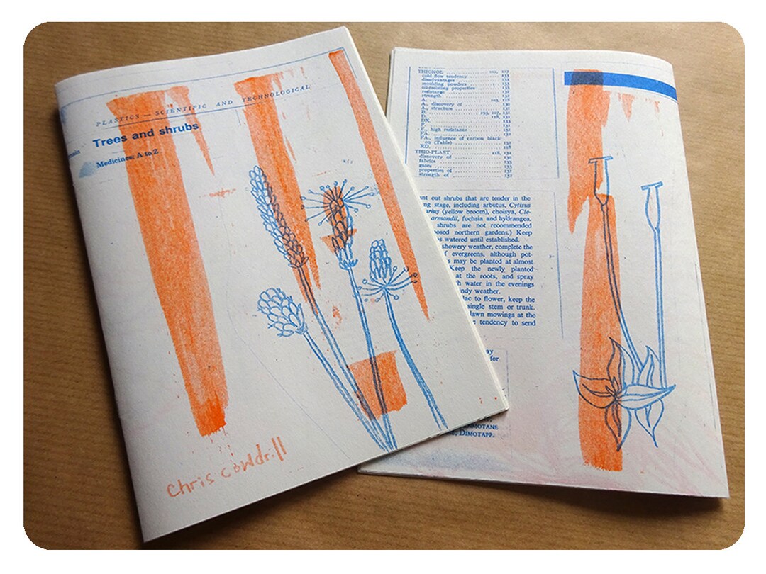Riso Print Artists Book / Zine // Plants and Flower Drawings ...