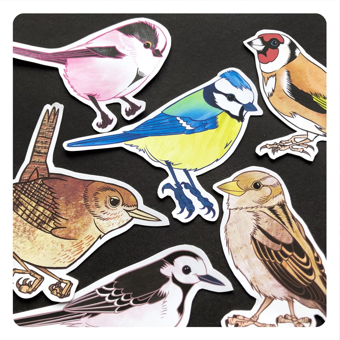Birds Vinyl Sticker Pack / Garden Birds / Nature Sticker Pack / Laptop ...