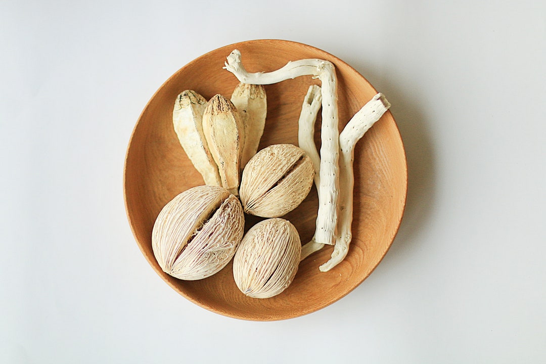 Dried Mahagony Pods, Dried Pepe Cone and Dried Mintola Fruit / Table ...