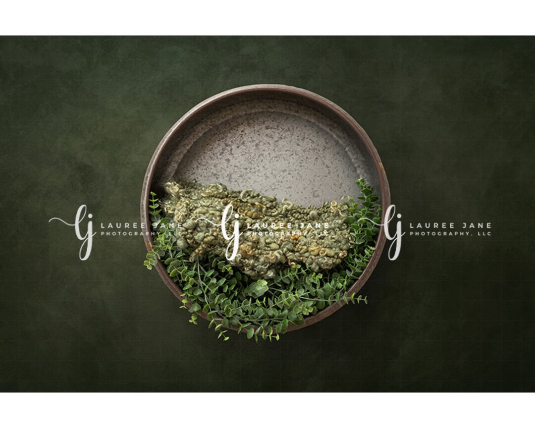 Newborn Digital Backdrop, Unique, Earthy, Nest, Succulents, Plants ...