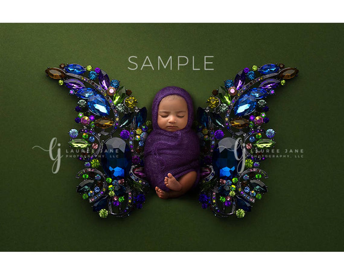 Butterfly Wings Newborn Digital Backdrop Newborn Wings - Etsy