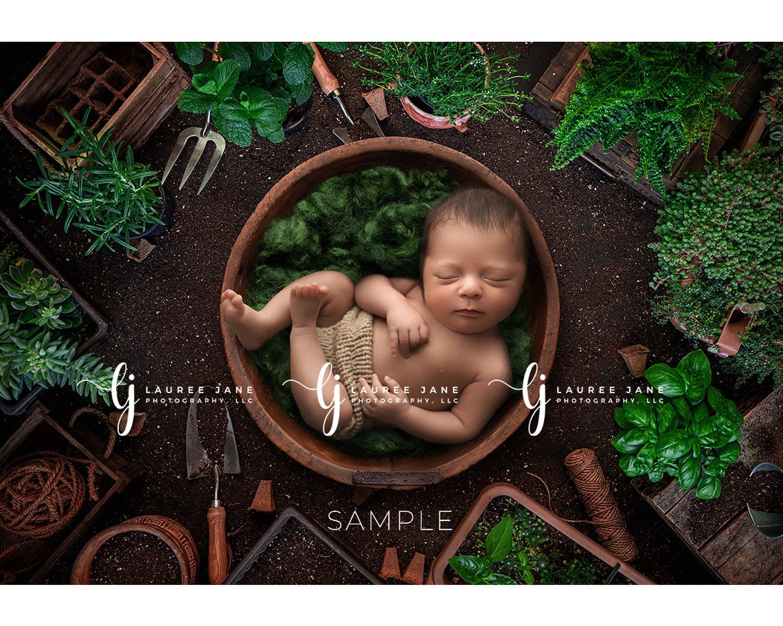 Newborn digital backdrop gardening succulent plant flora fern | Etsy