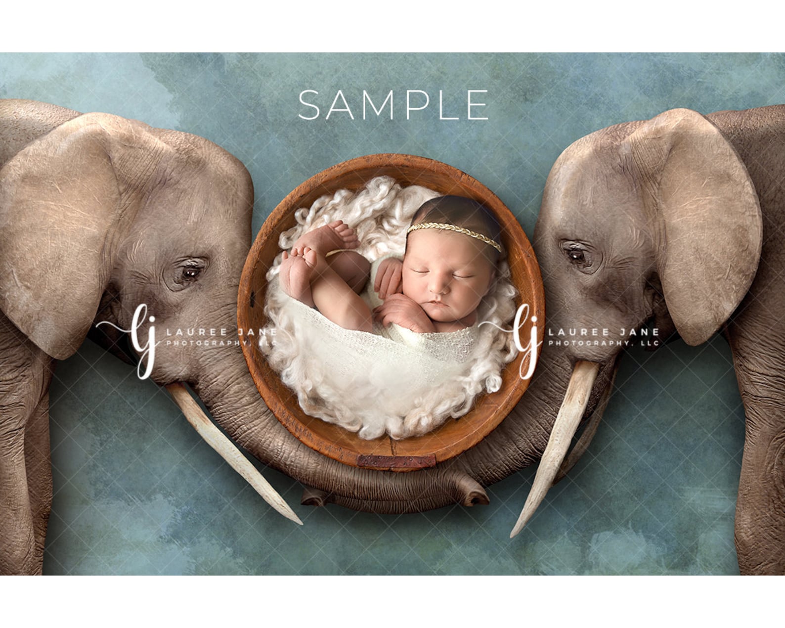3 PACK Elephant Newborn Digital Backdrop Trunk Black White Bowl Love ...