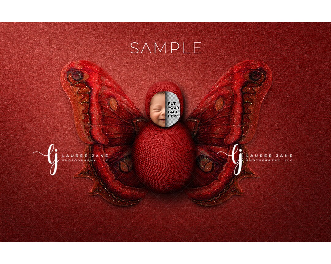 Butterfly Newborn Digital Background Wrapped Unique Transparent ...