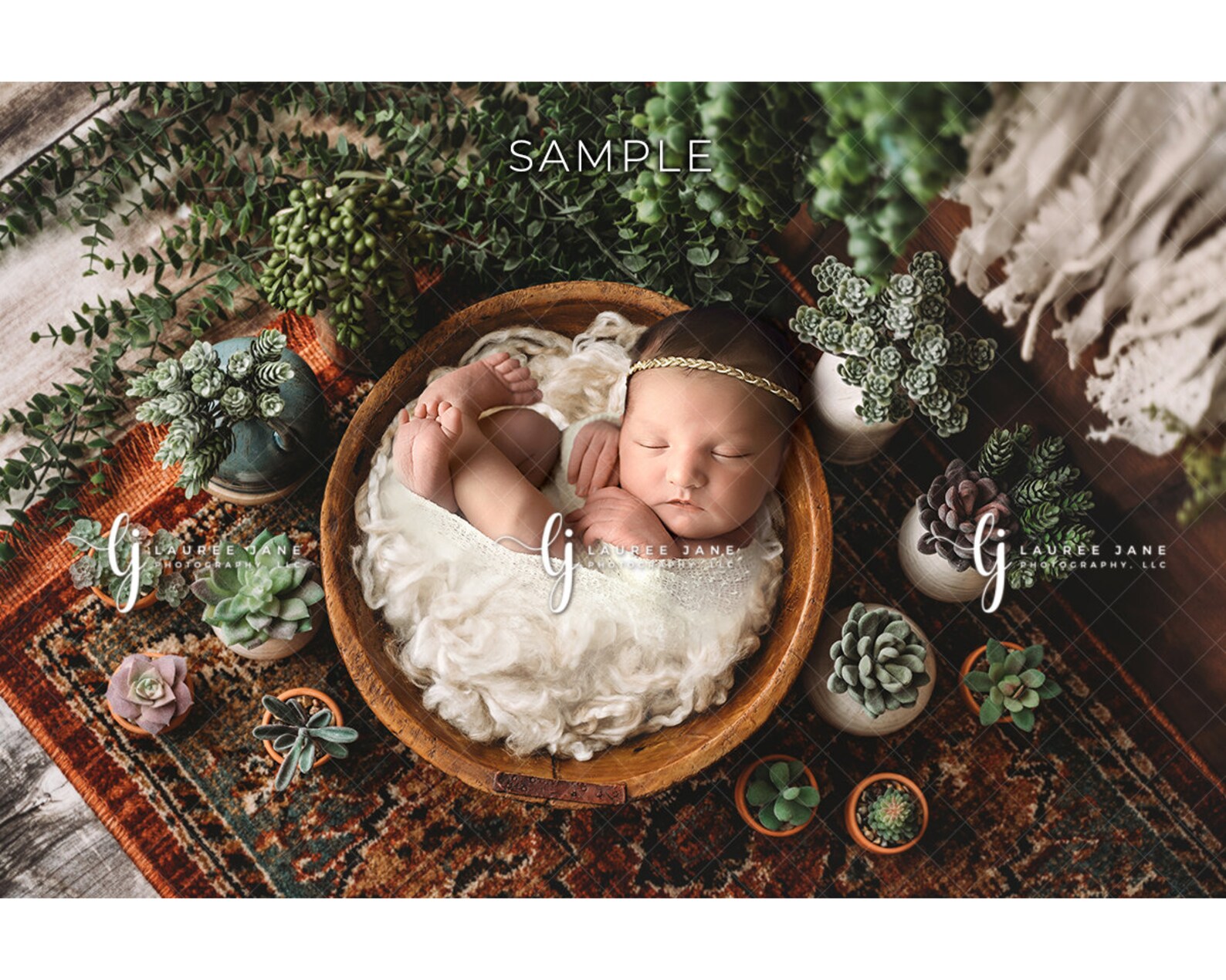 Boho Newborn Digital Backdrop Macrame Rustic Shabby Chic Succulent ...