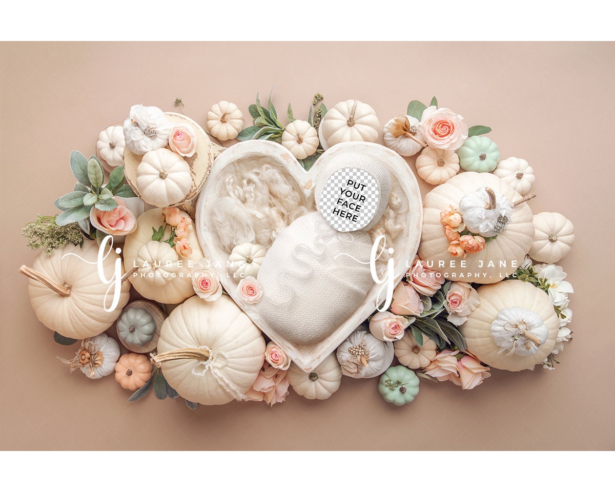Pumpkin Newborn Digital Backdrop Pumpkins Pink Rose Floral Mint Cute ...