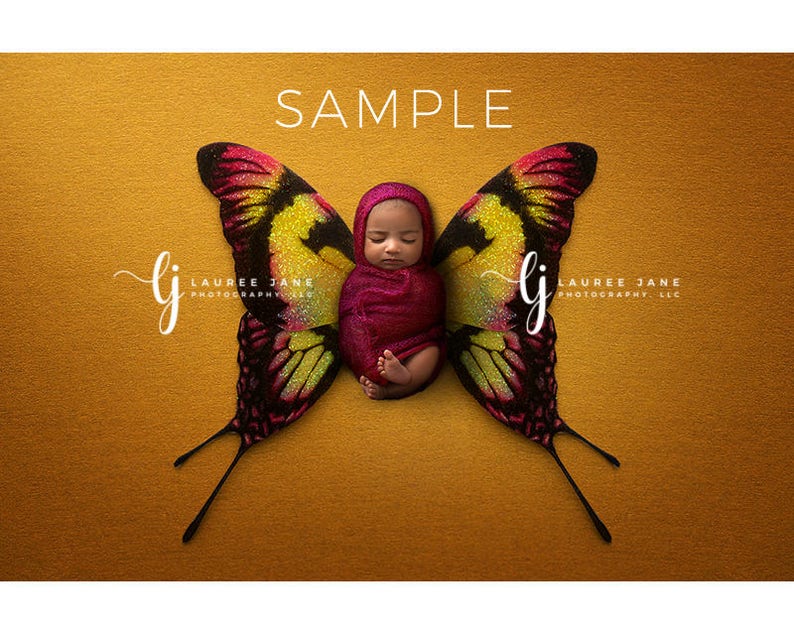Butterfly Wings Newborn Digital Backdrop, Newborn Wings, Unique, Yellow ...