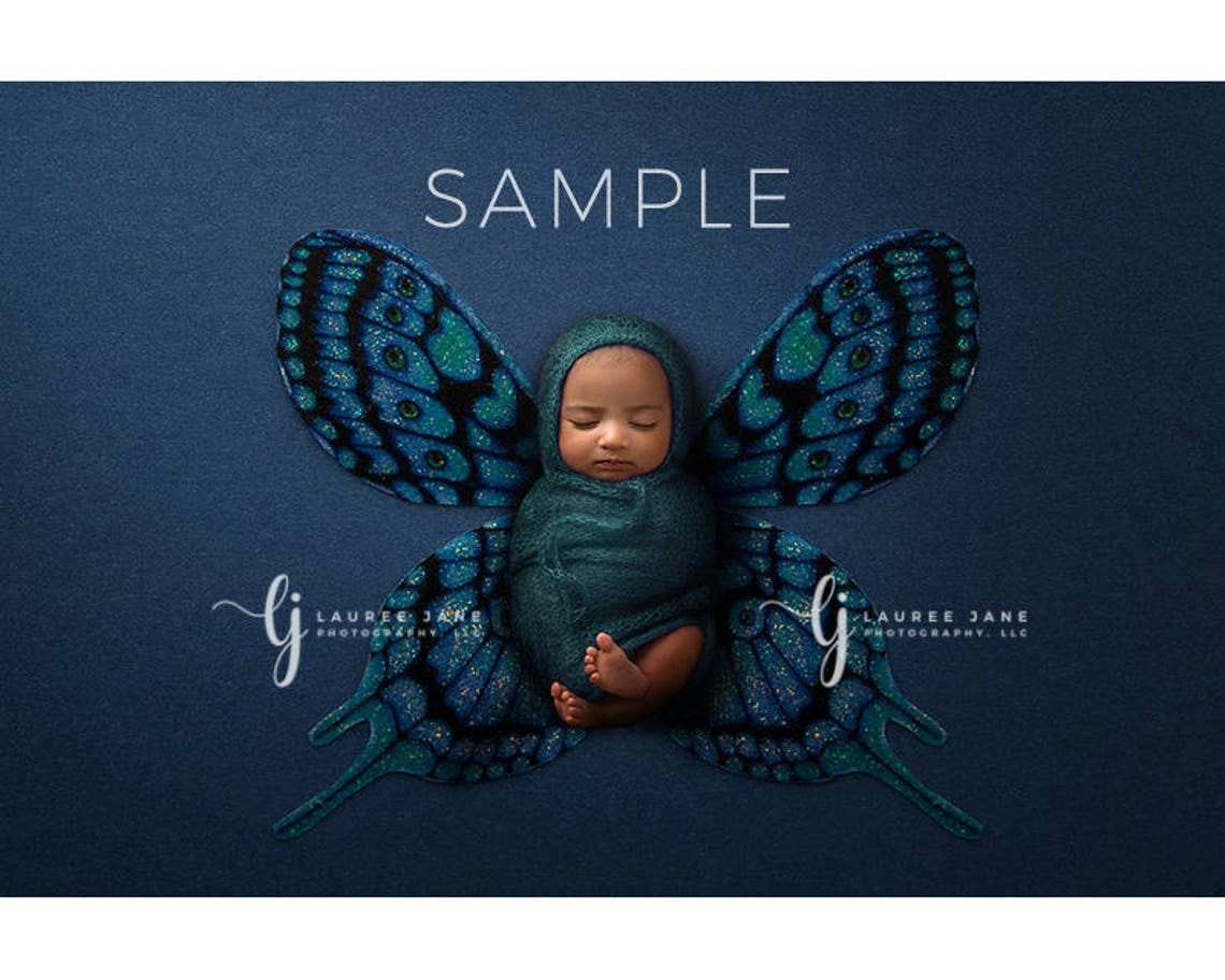 Butterfly Wings Newborn Digital Backdrop, Newborn Wings, Unique, Blue ...