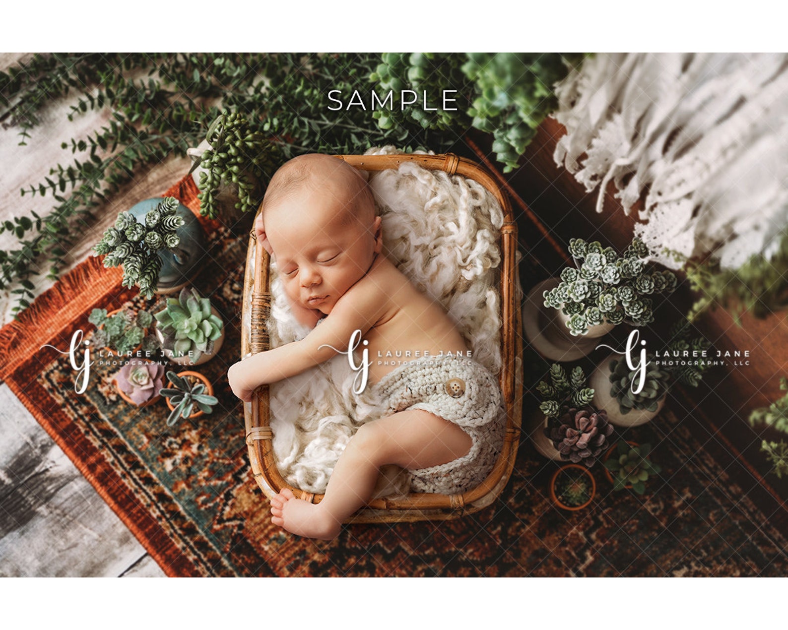 Boho Newborn Digital Backdrop Macrame Rustic Shabby Chic Succulent ...